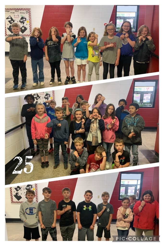 Live Feed | Beebe Elementary School