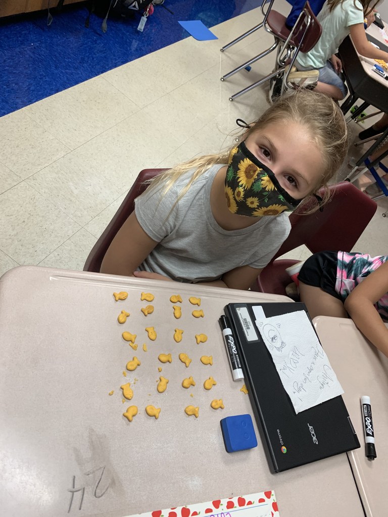 Live Feed | Beebe Elementary School